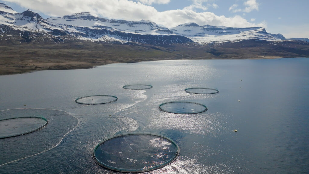 Kaldvík | Mission & Values